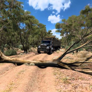 Nouveau projet Straylia v1.1 Map Mod 1.43 ATS - ETS2 Mod | ATS Mod