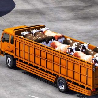 Mitsubishi Fuso Cattle Truck 1.44 ETS2 - ETS2 Mod | ATS Mod