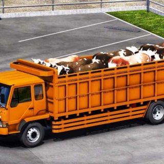 Mitsubishi Fuso Cattle Truck 1.44 ETS2 - ETS2 Mod | ATS Mod