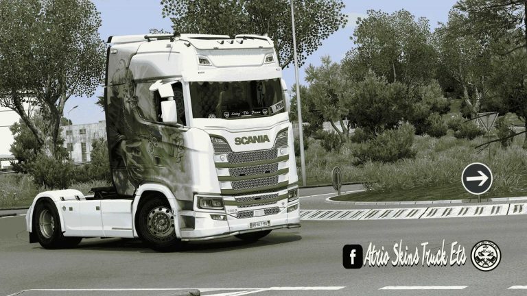 Skin Scania S Grenouille v1.0 ETS2 - ETS2 Mod | ATS Mod